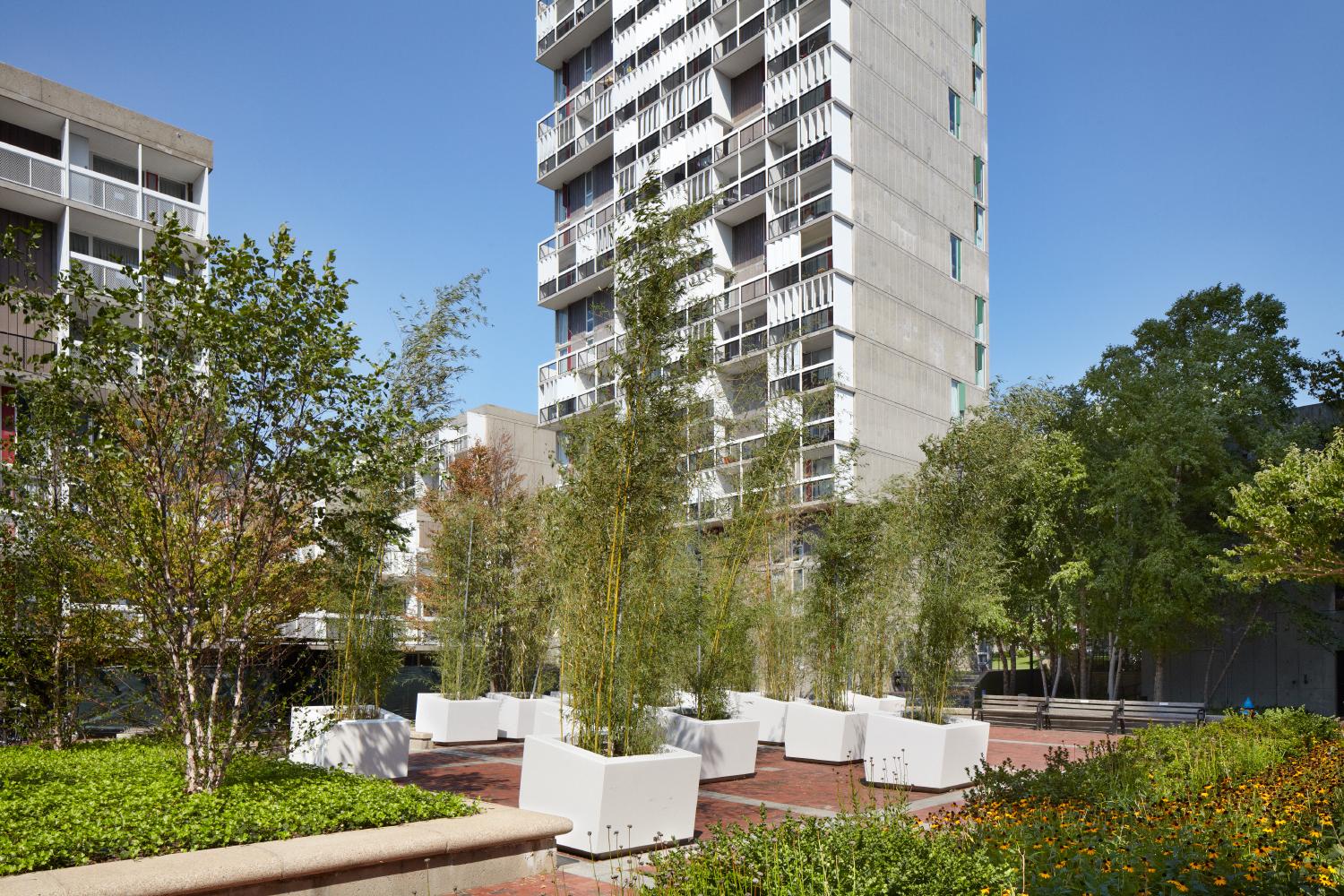 Peabody Terrace | Harvard University Housing