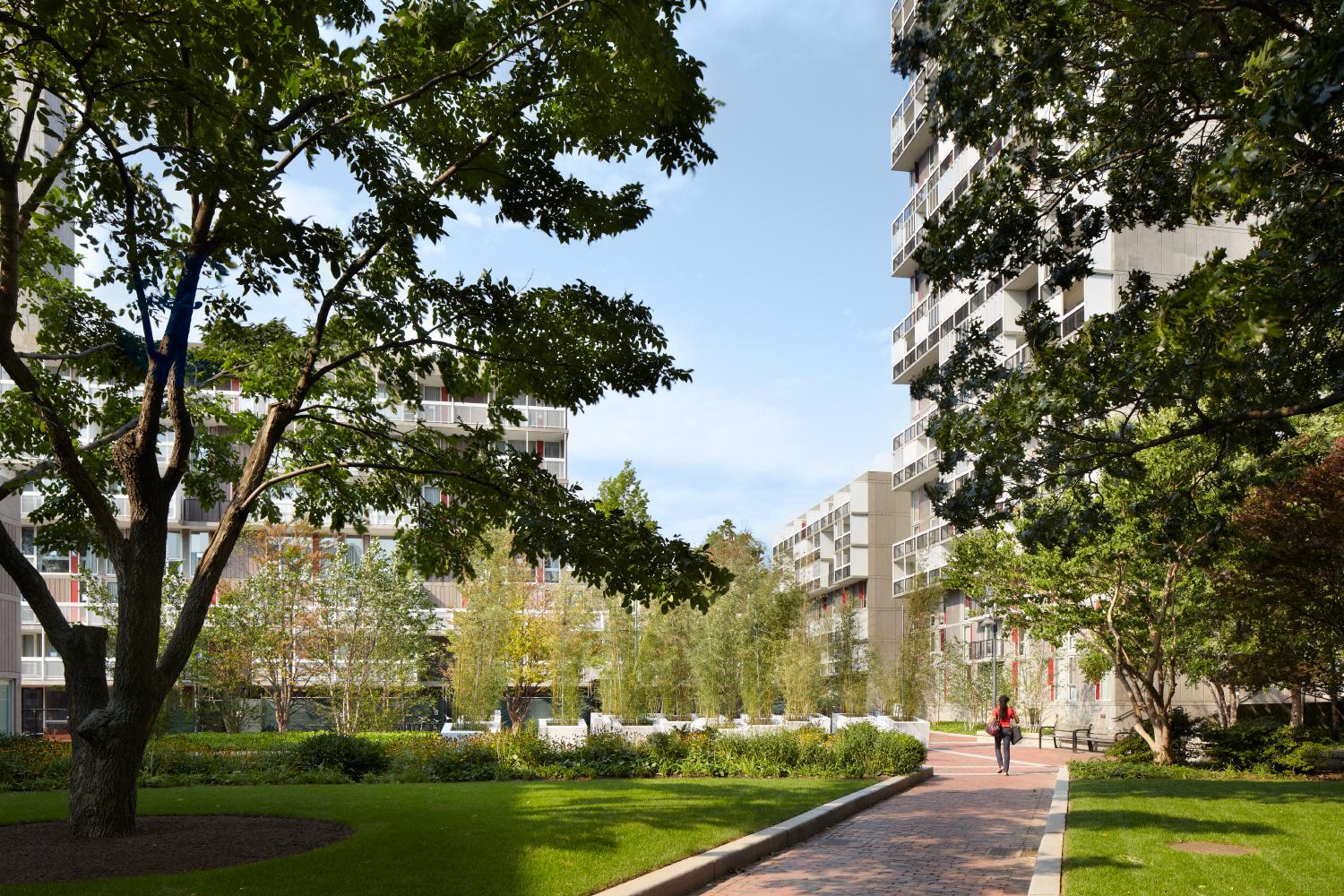 Peabody Terrace | Harvard University Housing