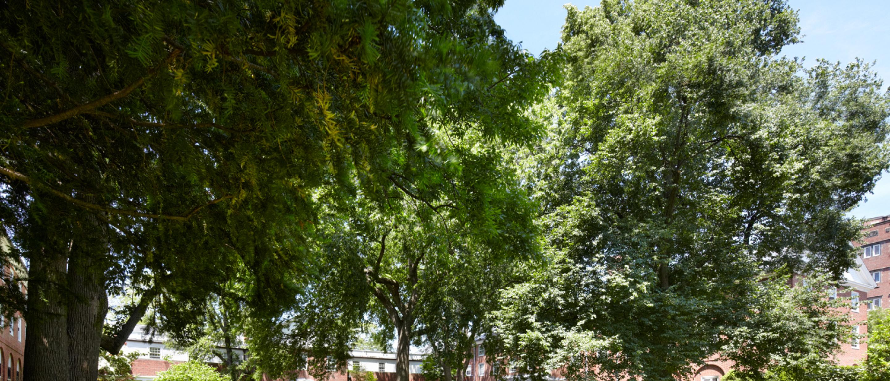 Cronkhite Center | Harvard University Housing